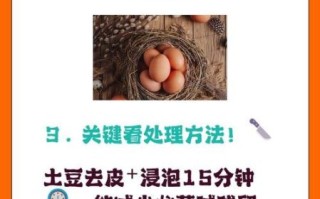 土豆和鸡蛋一起吃会中毒吗_土豆鸡蛋中毒真相