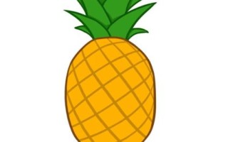 菠萝怎么画简笔画_菠萝简笔画步骤图解