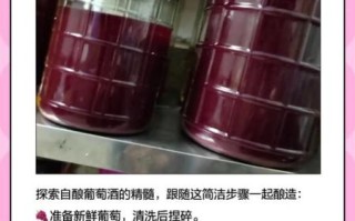 葡萄酒制作实验报告_家庭自酿常见问题