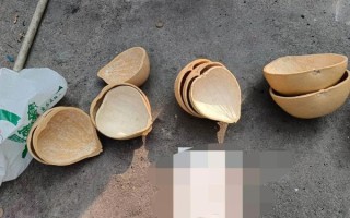 瓢葫芦的做法大全家常_瓢葫芦怎么炒好吃