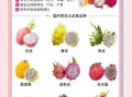 火龙果的药用价值有哪些_火龙果的营养价值高吗