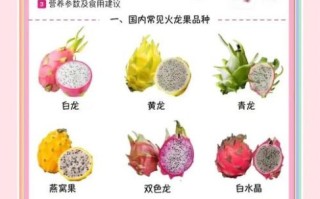 火龙果的药用价值有哪些_火龙果的营养价值高吗