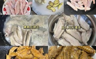 鸭翅怎么做好吃_家常鸭翅做法大全