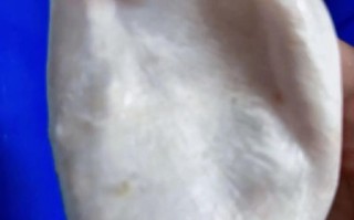 鱼泡泡怎么养_鱼泡泡多久换一次水