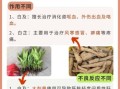 白及与白芨区别_白及白芨是同一种药吗
