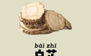 白芷的功效与作用_白芷能美白吗