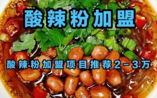 酸辣粉加盟店哪家好_酸辣粉加盟费用多少钱