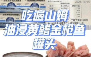 金枪鱼罐头怎么吃_金枪鱼罐头做法大全