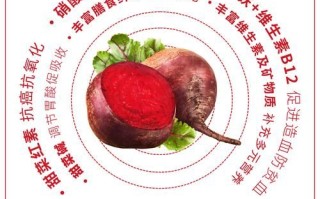 甜菜根多少钱一斤_甜菜根价格走势