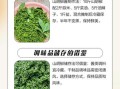山胡椒的功效与作用_山胡椒怎么吃效果最好