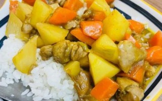 家常咖喱饭怎么做_咖喱饭需要哪些材料