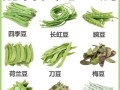 100种豆类图片大全_常见豆类有哪些