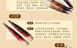 黄田马蹄笋怎么挑选_黄田马蹄笋产地在哪里