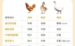 鹅肉热量高还是鸡肉_减肥选哪个