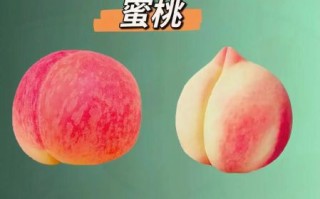 好吃的水果有哪些_如何挑选新鲜水果