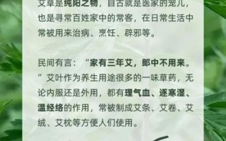 艾草对男性有害吗_男人用艾草的副作用