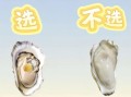 生蚝怎么挑选新鲜_生蚝图片实拍怎么看