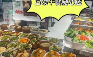 20元快餐盒饭菜谱图片_如何搭配更省钱