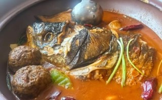 炖大鱼头怎么做不腥_炖大鱼头用什么鱼最好