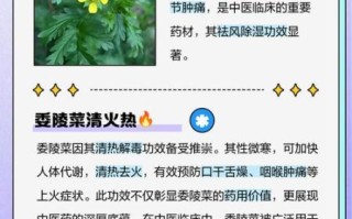 委陵菜的功效与作用_委陵菜怎么吃