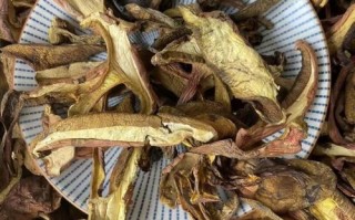 干牛肝菌怎么泡发_干牛肝菌炒多久才熟