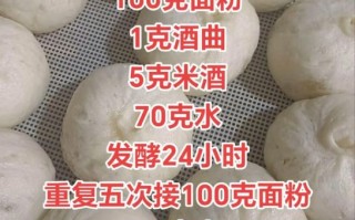 老面引子怎么做_老面引子保存多久