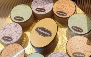 哈根达斯冰淇淋月饼好吃吗_哈根达斯冰淇淋月饼价格