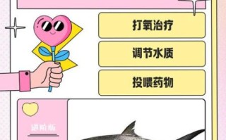 鱼鳔对鱼的作用_鱼鳔如何帮助鱼上浮下沉