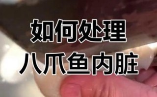 八爪鱼内脏怎么处理_八爪鱼内脏哪些不能吃