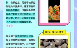 蚬子是花甲吗_蚬子和花甲的区别