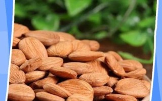 生杏仁怎么吃_生杏仁最简单的食用方法