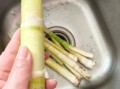 野生小竹笋怎么做好吃_野生小竹笋的做法大全
