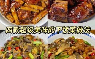 下饭菜100道经典家常菜怎么做_哪些菜最开胃