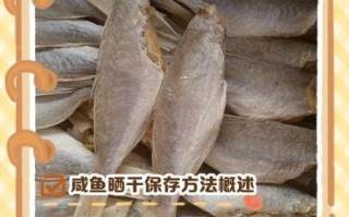干咸鱼怎么腌制_干咸鱼晒多久才香