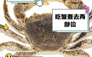 螃蟹的正确吃法_螃蟹的禁忌有哪些