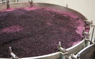 葡萄酒怎么制作_葡萄酒酿造全过程