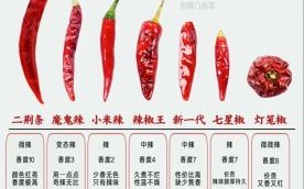 辣椒图片大全大图真实_辣椒种类怎么区分