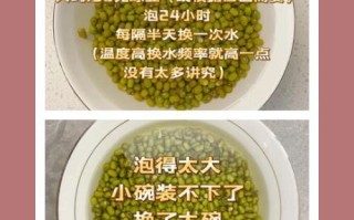 绿豆芽怎么发_家庭绿豆芽做法大全