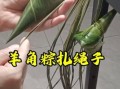 羊角粽子怎么包_羊角粽子包法视频
