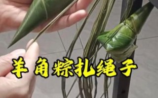 羊角粽子怎么包_羊角粽子包法视频