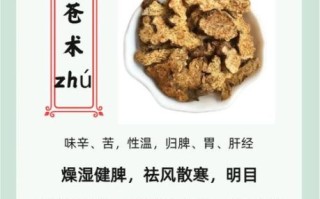 苍术的功效与作用_苍术主治什么病