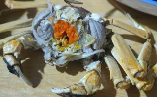 野生河蟹怎么处理干净_野生河蟹清洗步骤