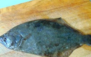 鸦片鱼图片大全大图_鸦片鱼高清图鉴