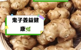 鬼子姜能炒着吃吗_鬼子姜怎么炒好吃