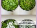 茼蒿蒸菜怎么做不粘_蒸茼蒿不粘连的秘诀