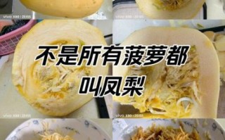 崇明金瓜怎么做好吃_崇明金瓜的做法大全