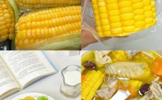 水果玉米种子怎么选_水果玉米种子哪个品种好