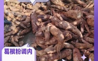 葛根粉怎么吃比较好_葛根粉的正确吃法