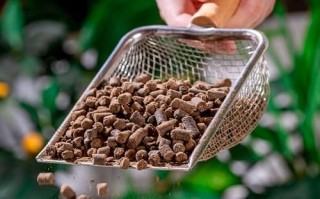 豆饼肥怎么用_豆饼肥使用方法