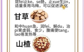 正宗乌梅汤配方_乌梅汤怎么做才够味